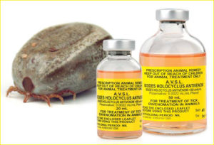 AVSL IXODES HOLOCYCLUS ANTIVENOM - AVSL